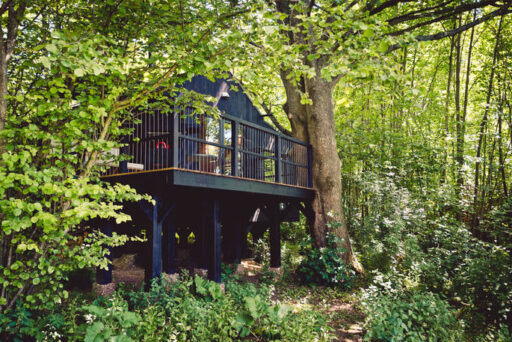 Wild Escapes: Elevating the UK Treehouse Trend